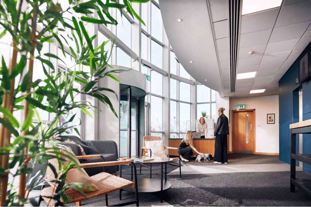 Visualsoft | Award-winning eCommerce agency